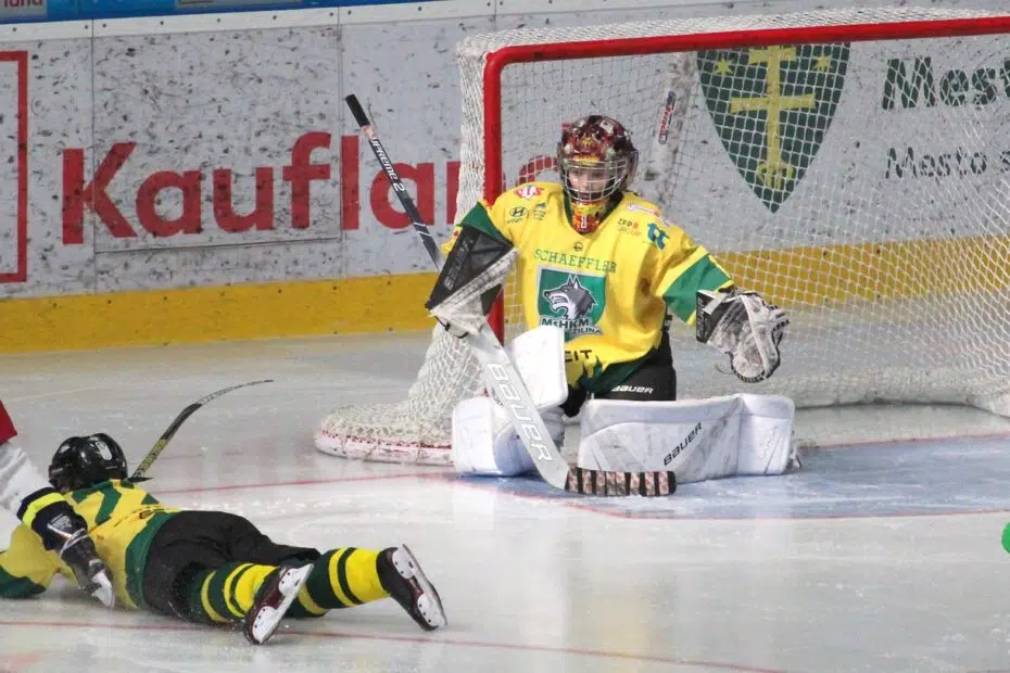 Ice Hockey For Beginners - Ice Hockey Guide